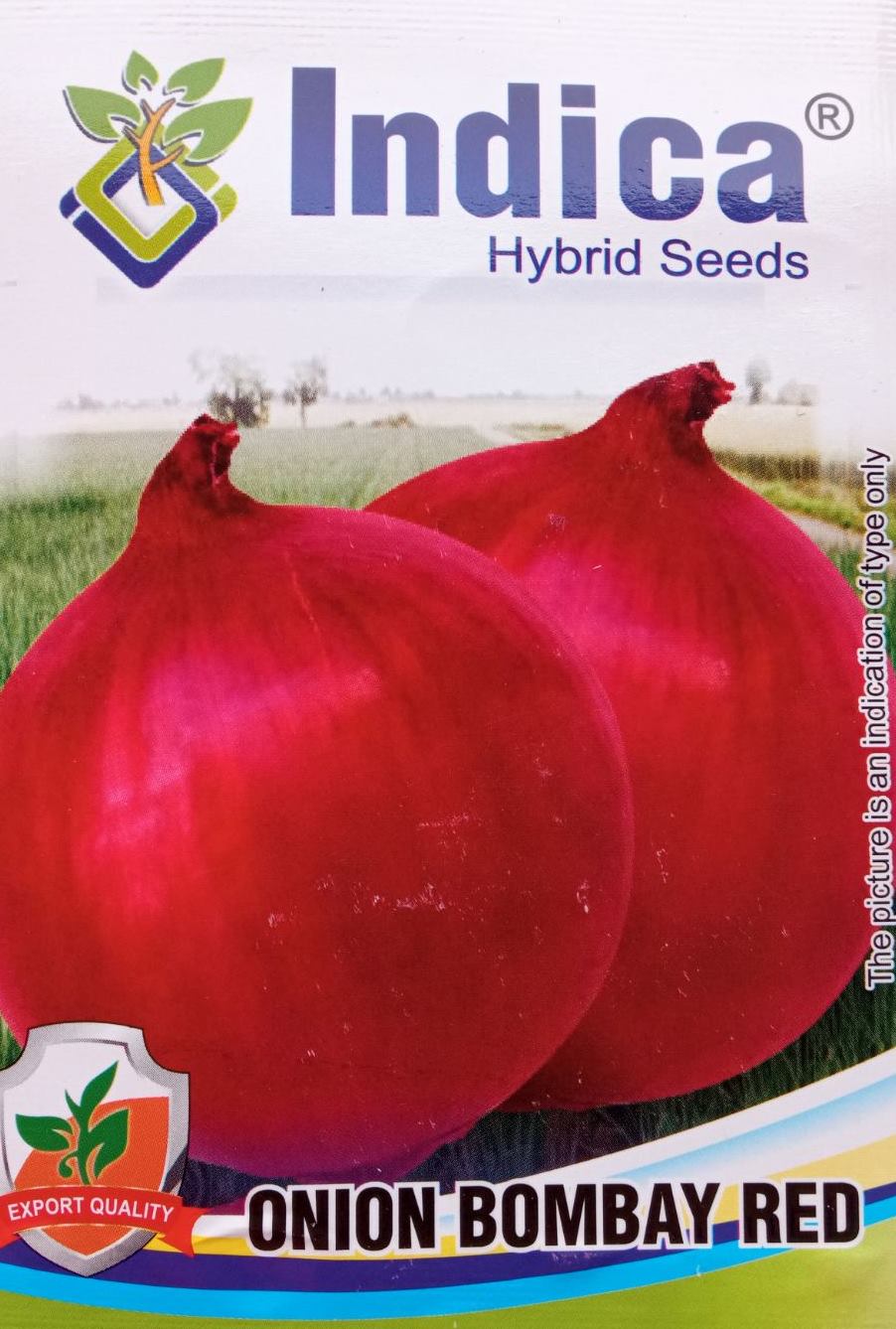Vegetable Seeds - Onion Bombay Red Seeds 2 Gram | Daraz.com.np