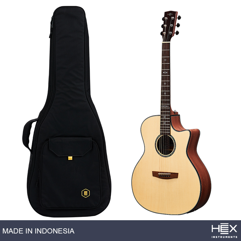 Hex Instruments Hornet Ga400Ce G Cutaway Acoustic/Electric Guitar With ...