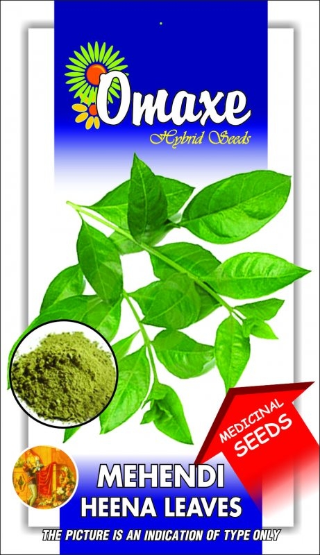 Herb Seeds- 1 Packet Mehendi Seeds - Medicinal Heena Tree Herb Seeds ...