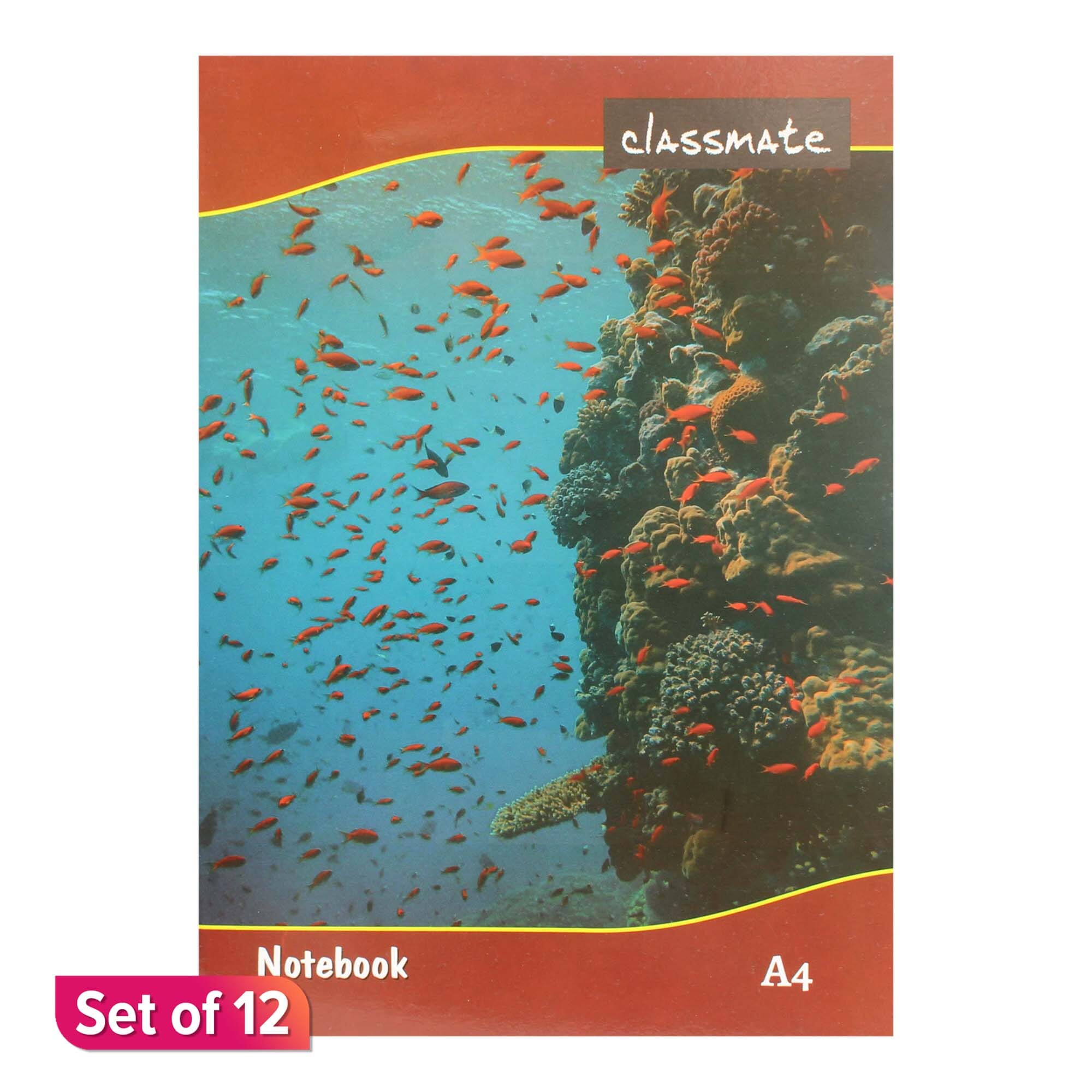 Classmate Fish Design Student Notebook Set Of 12 | Daraz.com.np