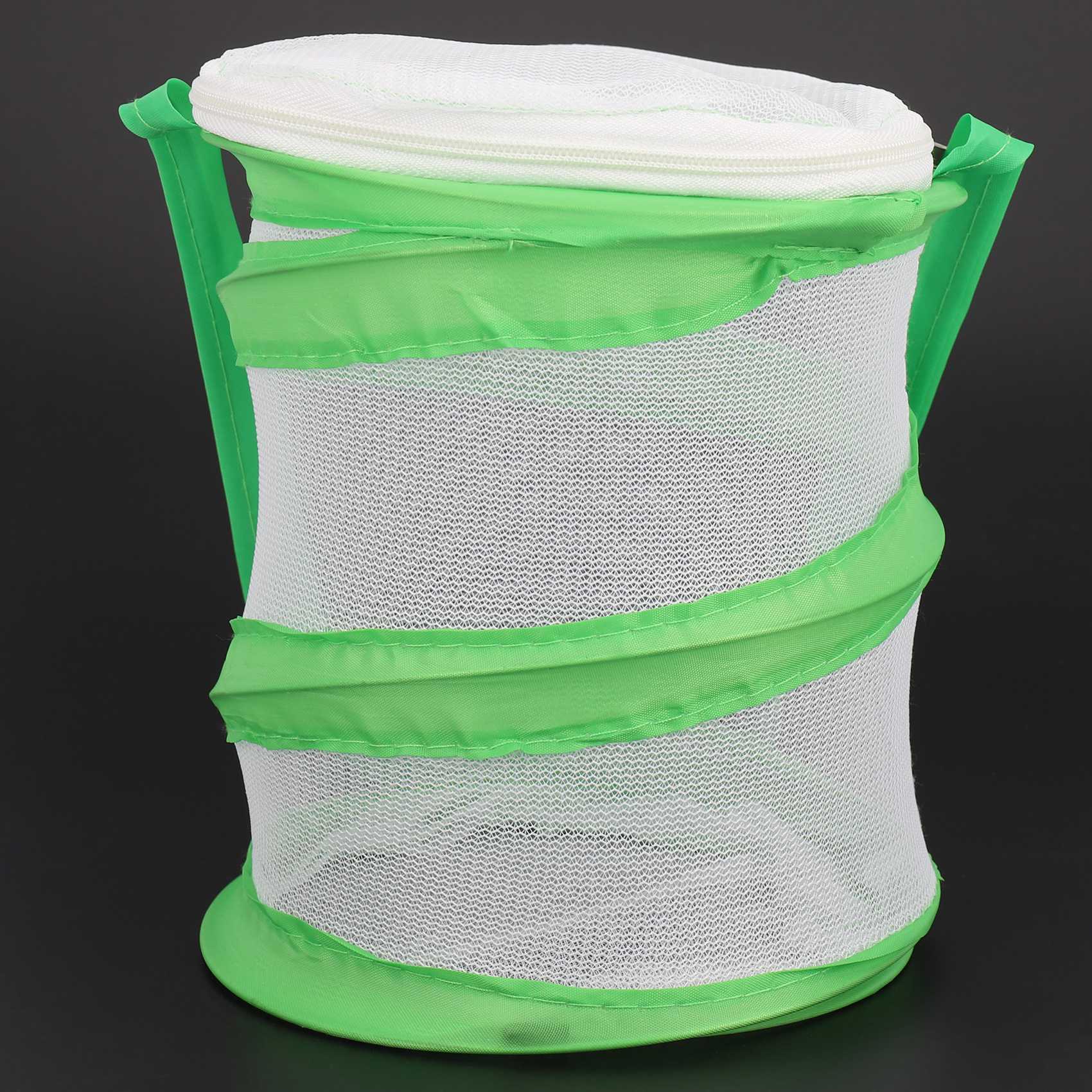 Small Praying Stick Insect Butterfly -up Cage Housing Enclosure | Daraz ...