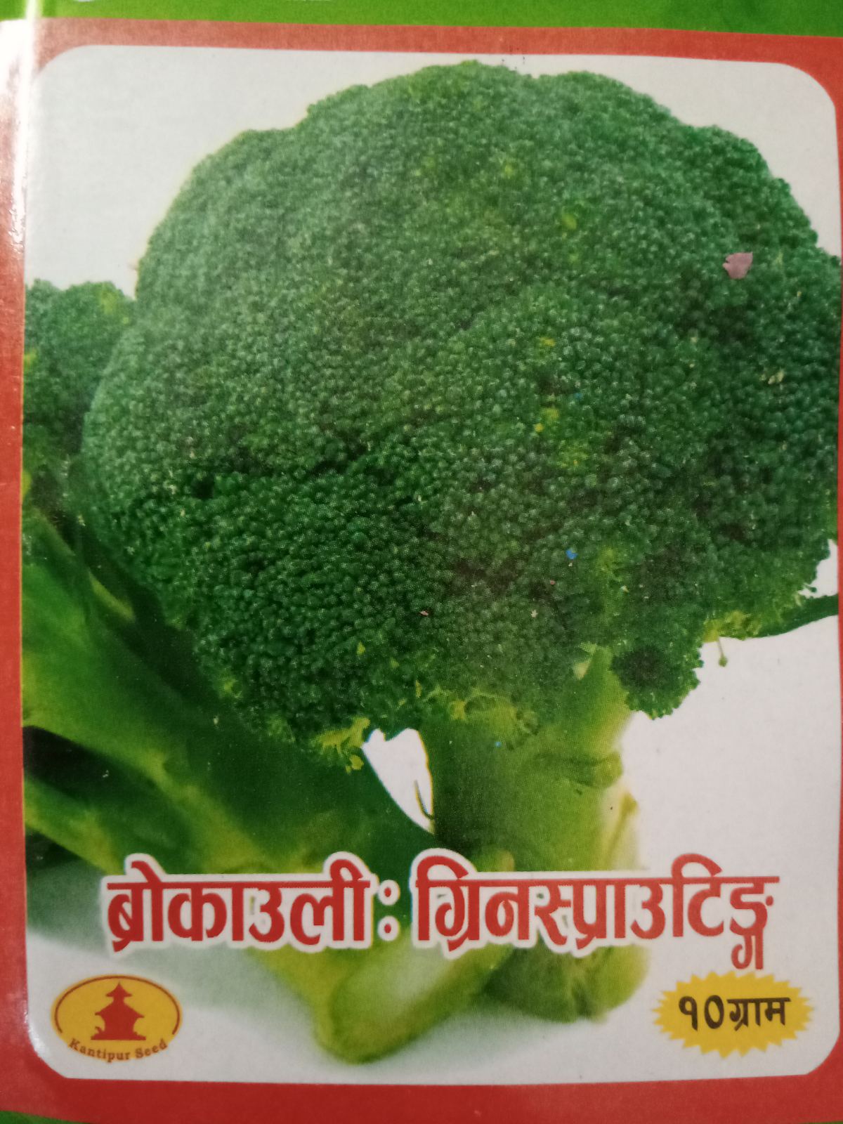 Vegetable Seeds - 1 Packet Broccoli Green Seeds 2 Gram | Daraz.com.np