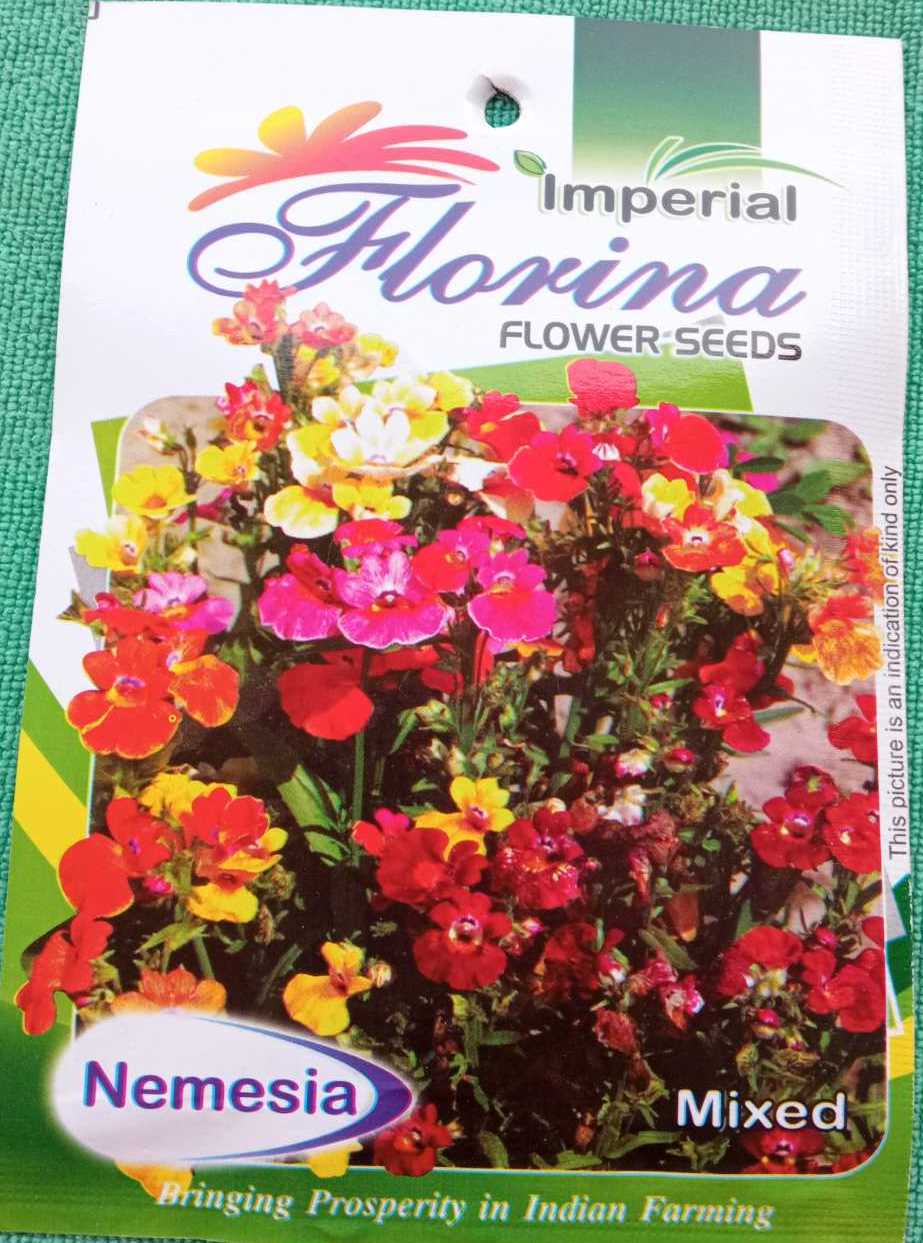 Nemesia Flower Seeds | Best Flower Site