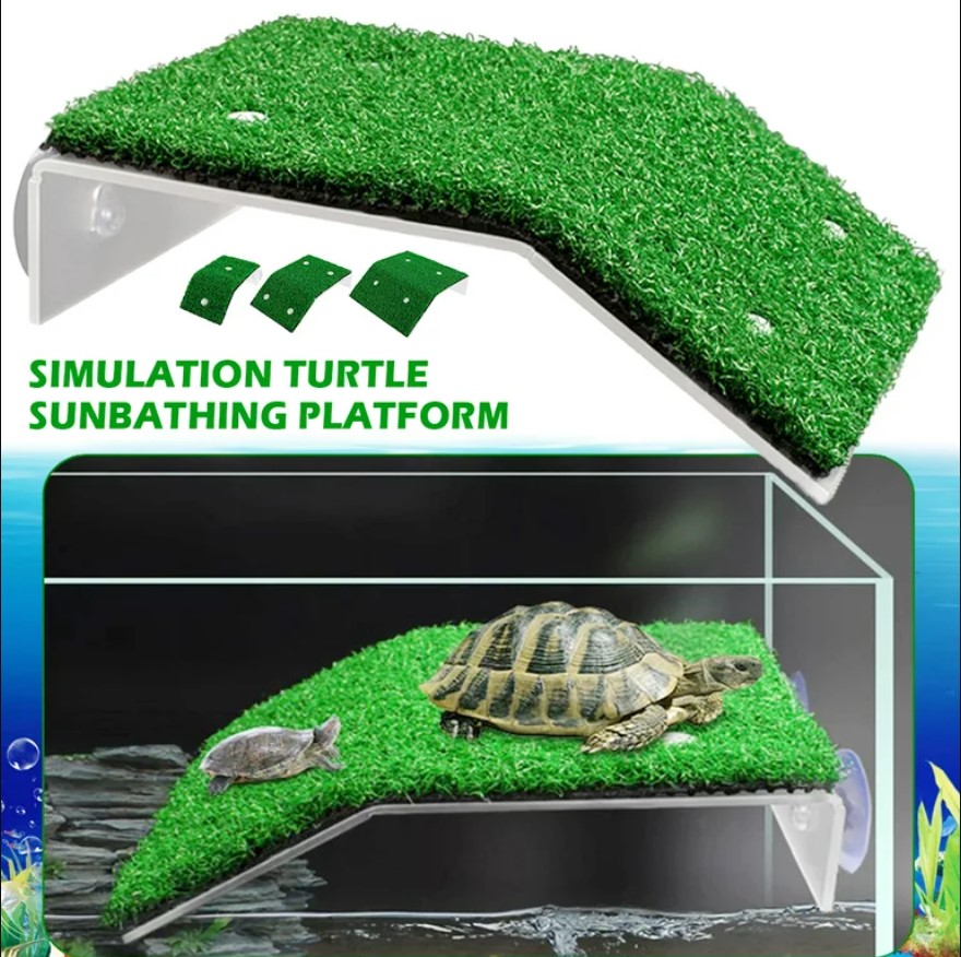 Turtle Basking Platform Large Size By HAMROPETS | Daraz.com.np