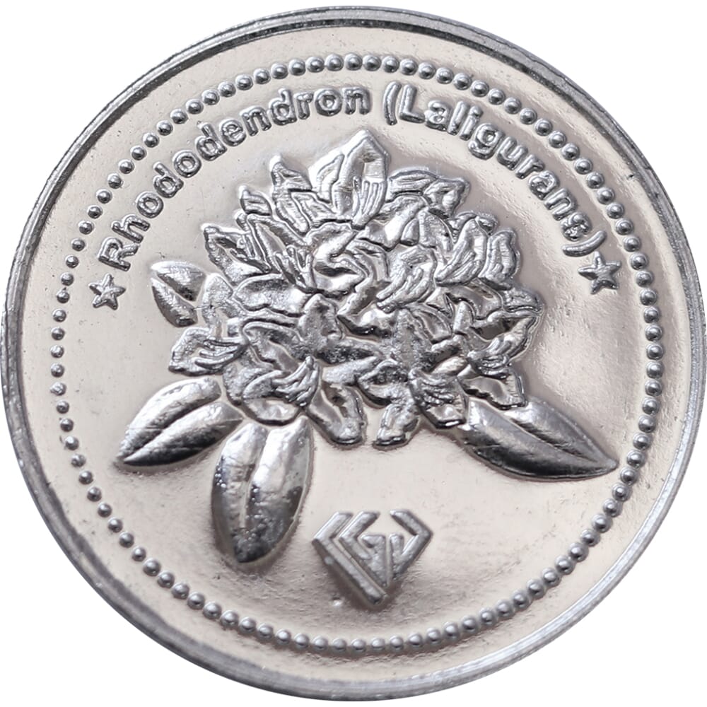 KGD Pure Silver 999 Laligurans 10g Silver Coin | Daraz.com.np
