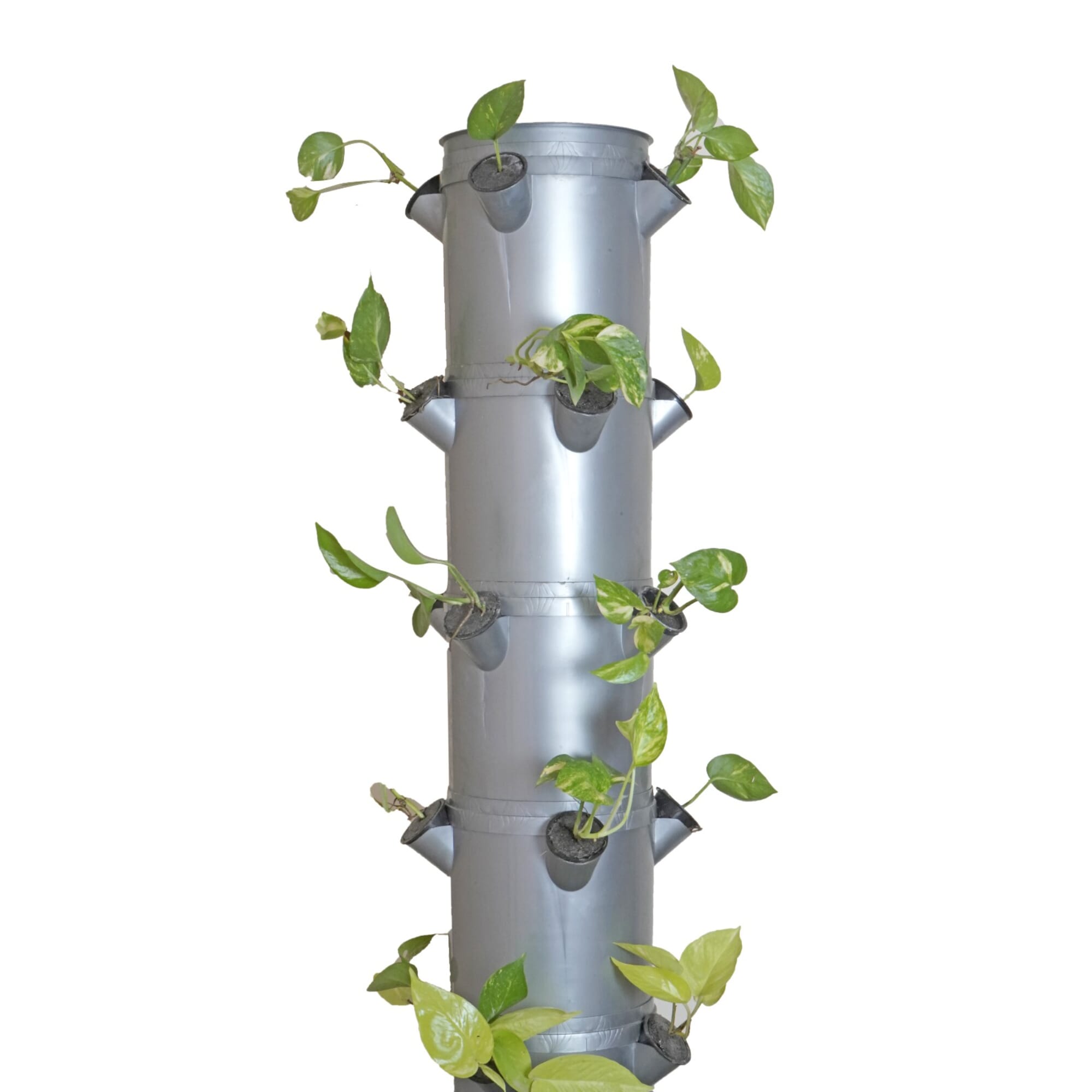 Hydroponics Tower for Herbs, Fruits and Vegetables,69*69*37 | Daraz.com.np