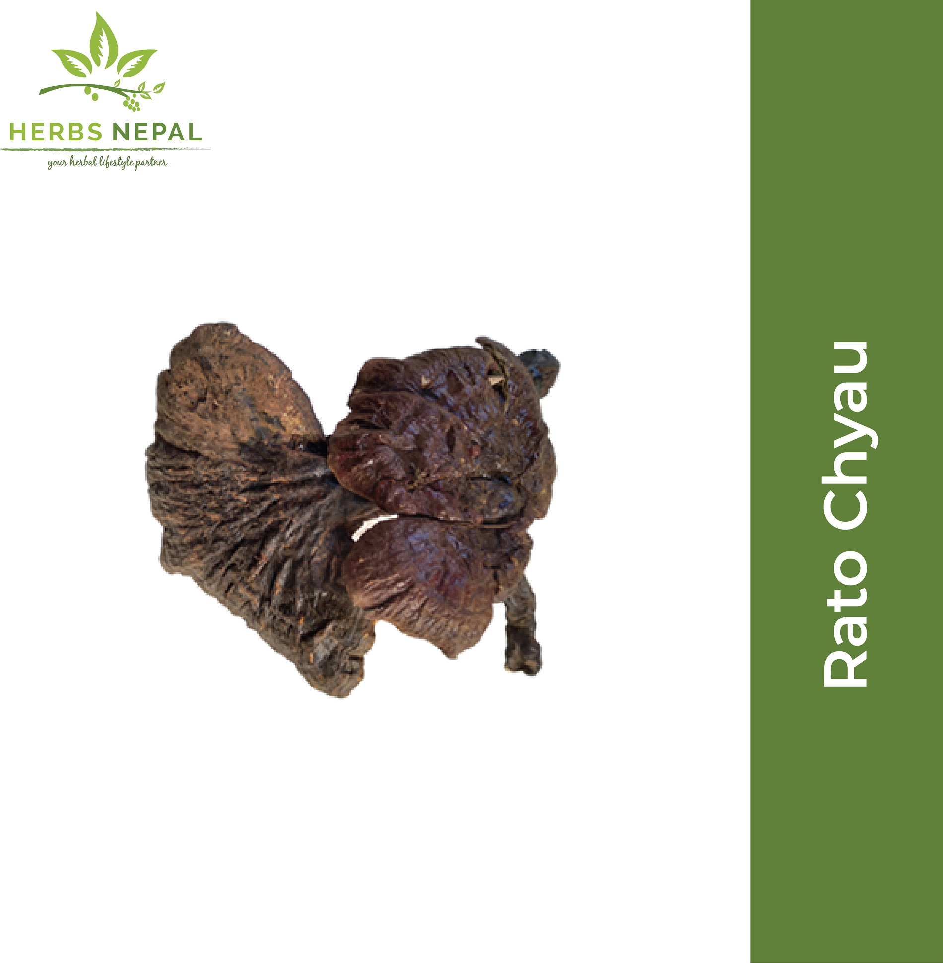 Red Mushroom-Rato Chyau 200Gm /Herbs Nepal | Daraz.com.np