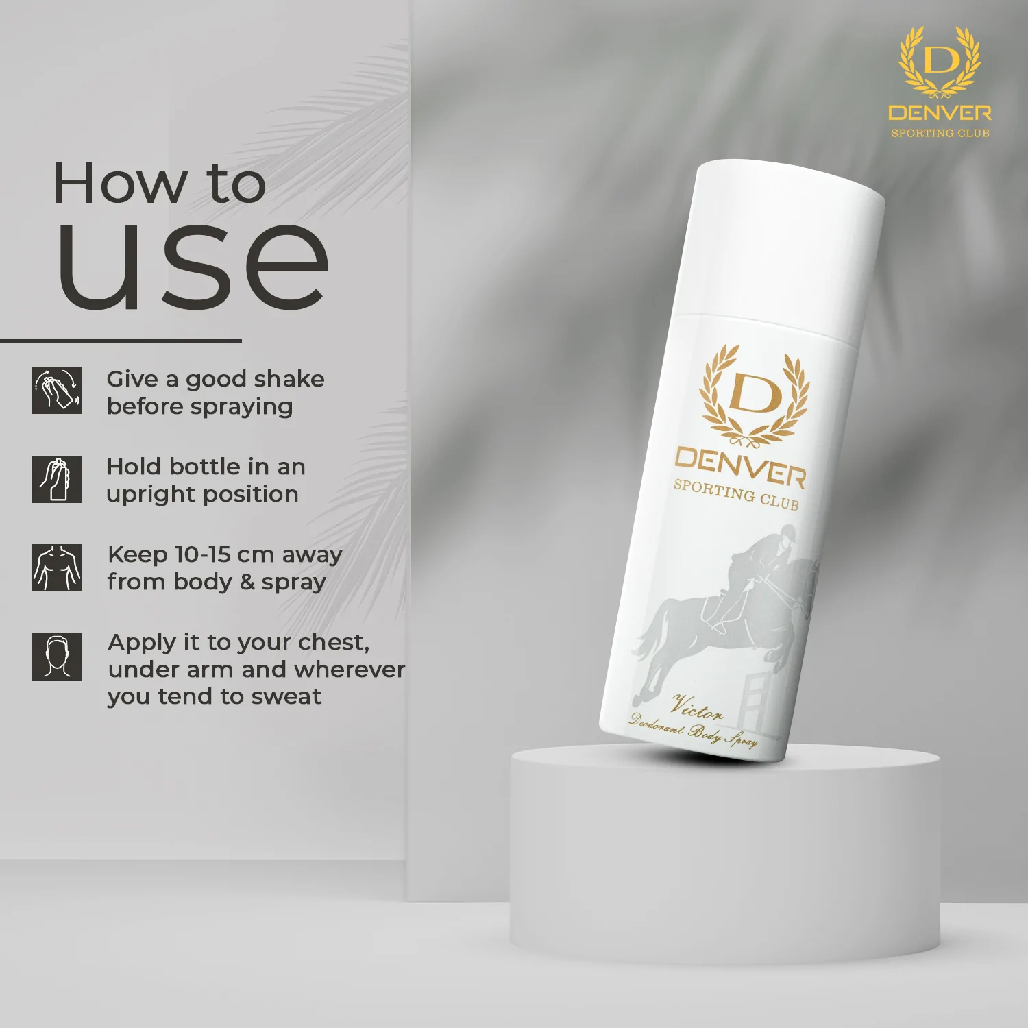 Denver Victor Deodorant Body Spray for Men 165 ml | Daraz.com.np