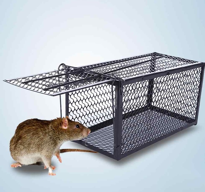 full details of Rat Cage Mice Rodent Animal Control Ca Rat Cage Mice ...