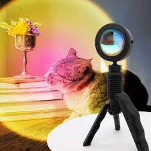 Buy Picture & Display Lights Online at Best Price in Nepal - Daraz.com.np