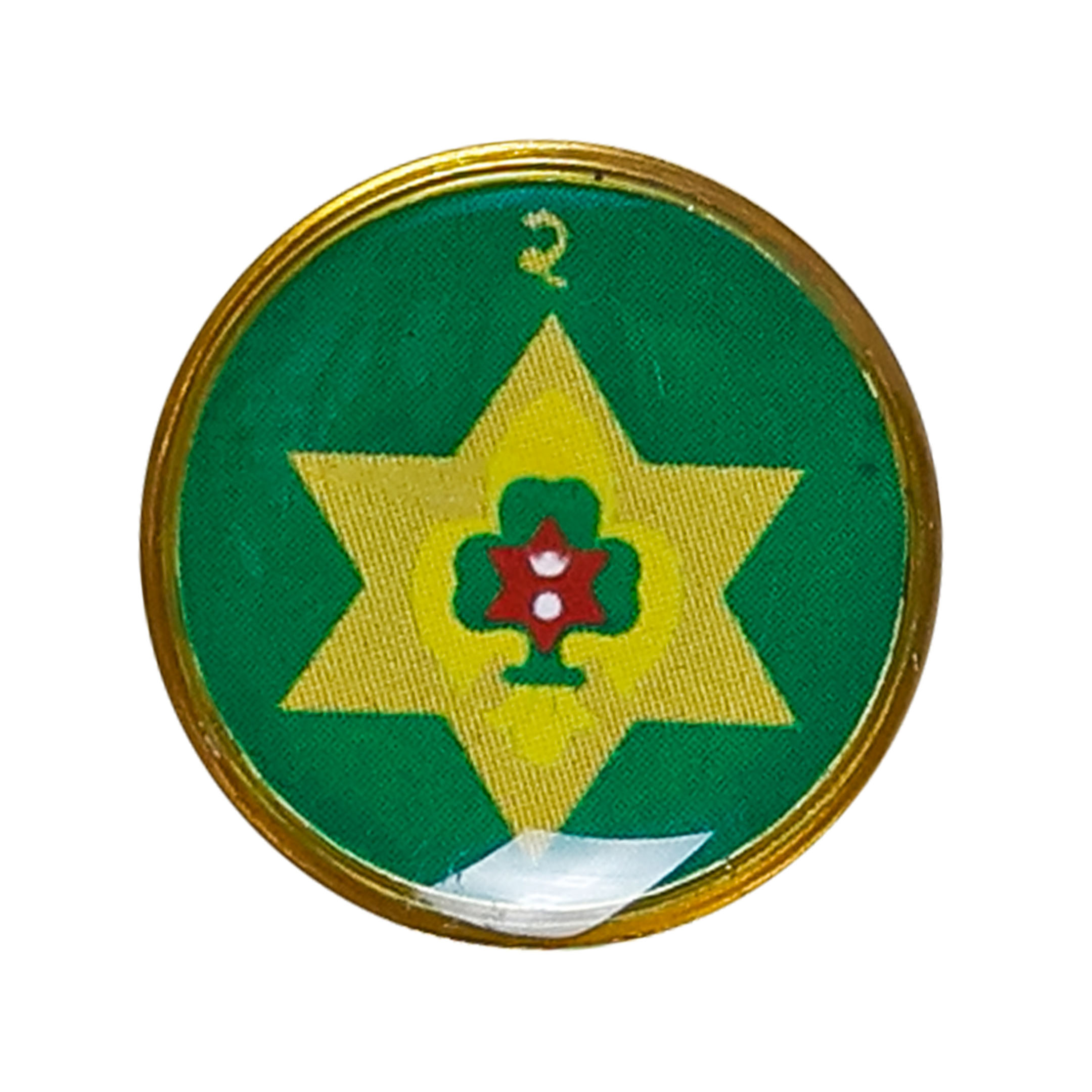 Nepal Scout Service Pin (NSP215-6a) | Daraz.com.np