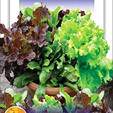 6 Types Of Lettuce Seeds Mixed 120 Plus Seeds (Lettuce Imported Mix ...