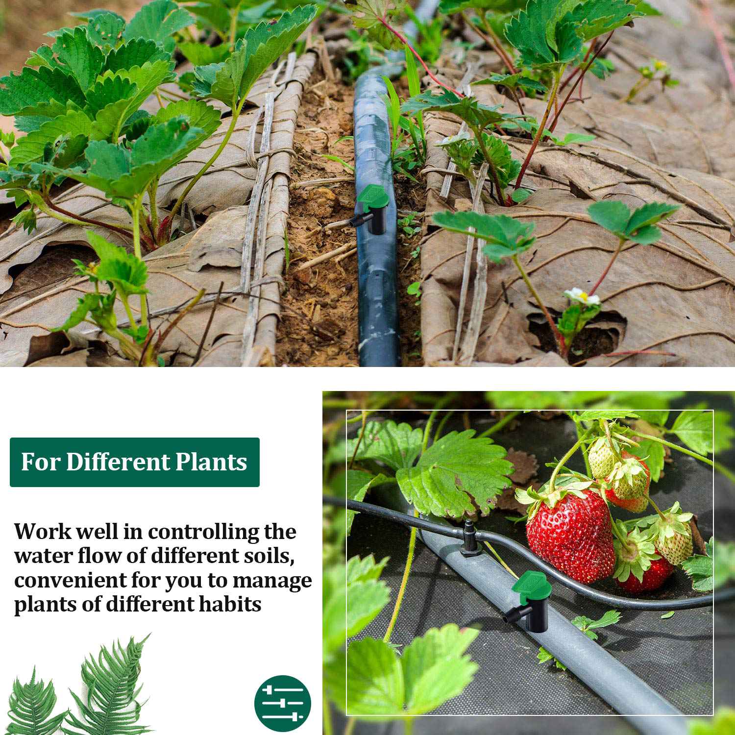 60 Pieces 4GPH Removable Drip Sprinkler Irrigation Drip Emitter Garden ...