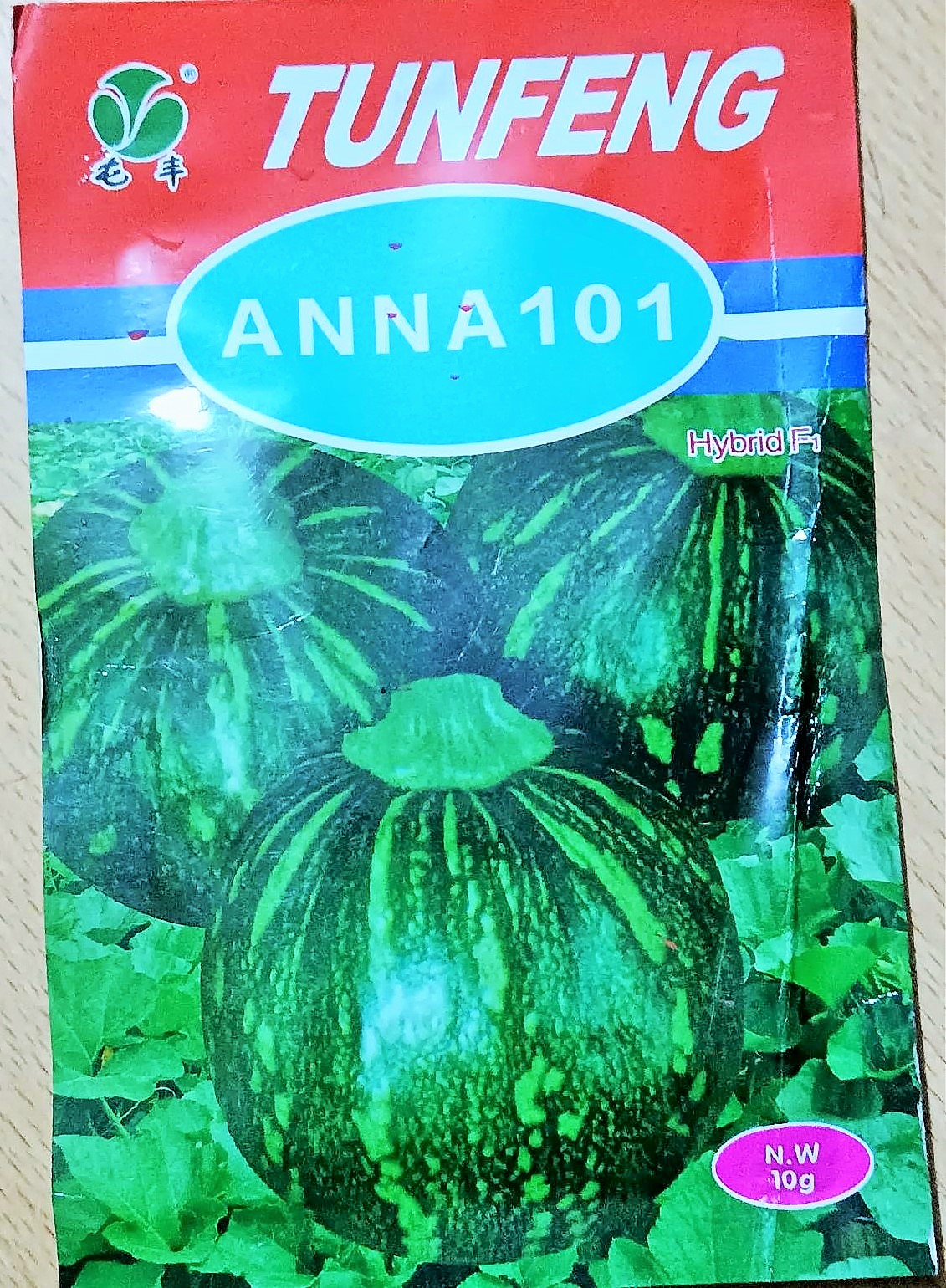 Anna 101 Hybrid Squash Pumpkin 10 gm | Daraz.com.np