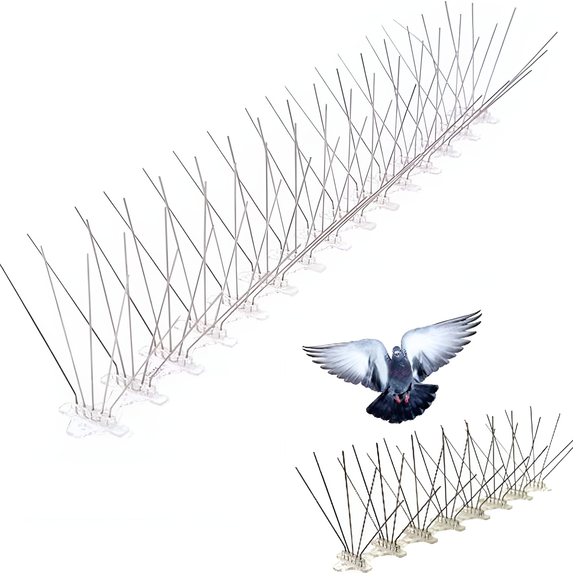 Bird Spike Pigeon Spike | Daraz.com.np