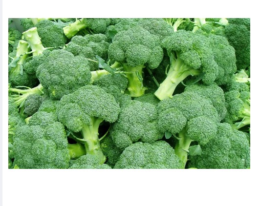 20+ Loose Packed Green Broccoli Seeds - High yield vegetable seeds ...