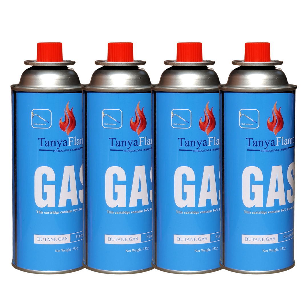 Portable Can Gas Cylinder (Set Of 4) | Daraz.com.np