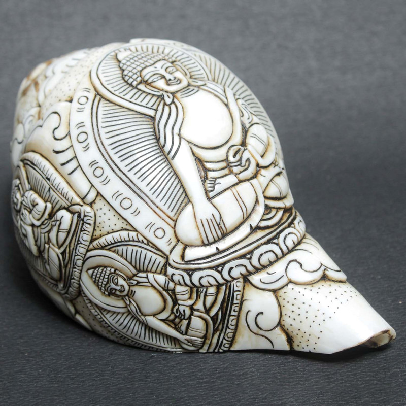 White/Black Original Buddha Sankha Round 11Inch, Blowing Conch / Shankh ...