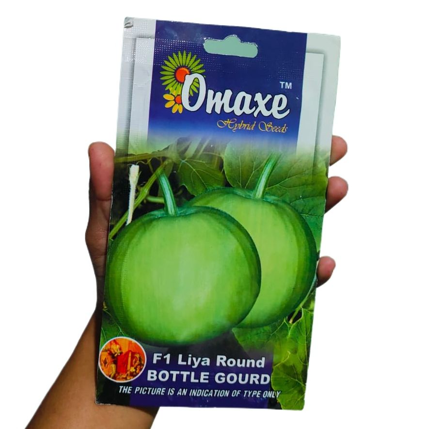 1 Packet Of Omaxe F1 Liya Round Bottle Gourd For Your Kitchen Garden ...