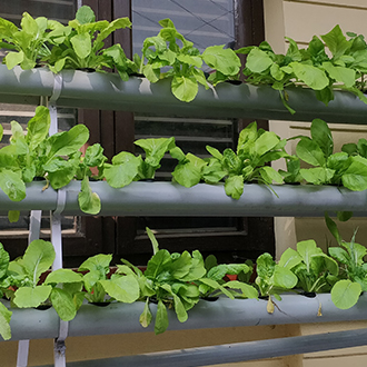 Grey DFT Vertical Hydroponic System | Daraz.com.np