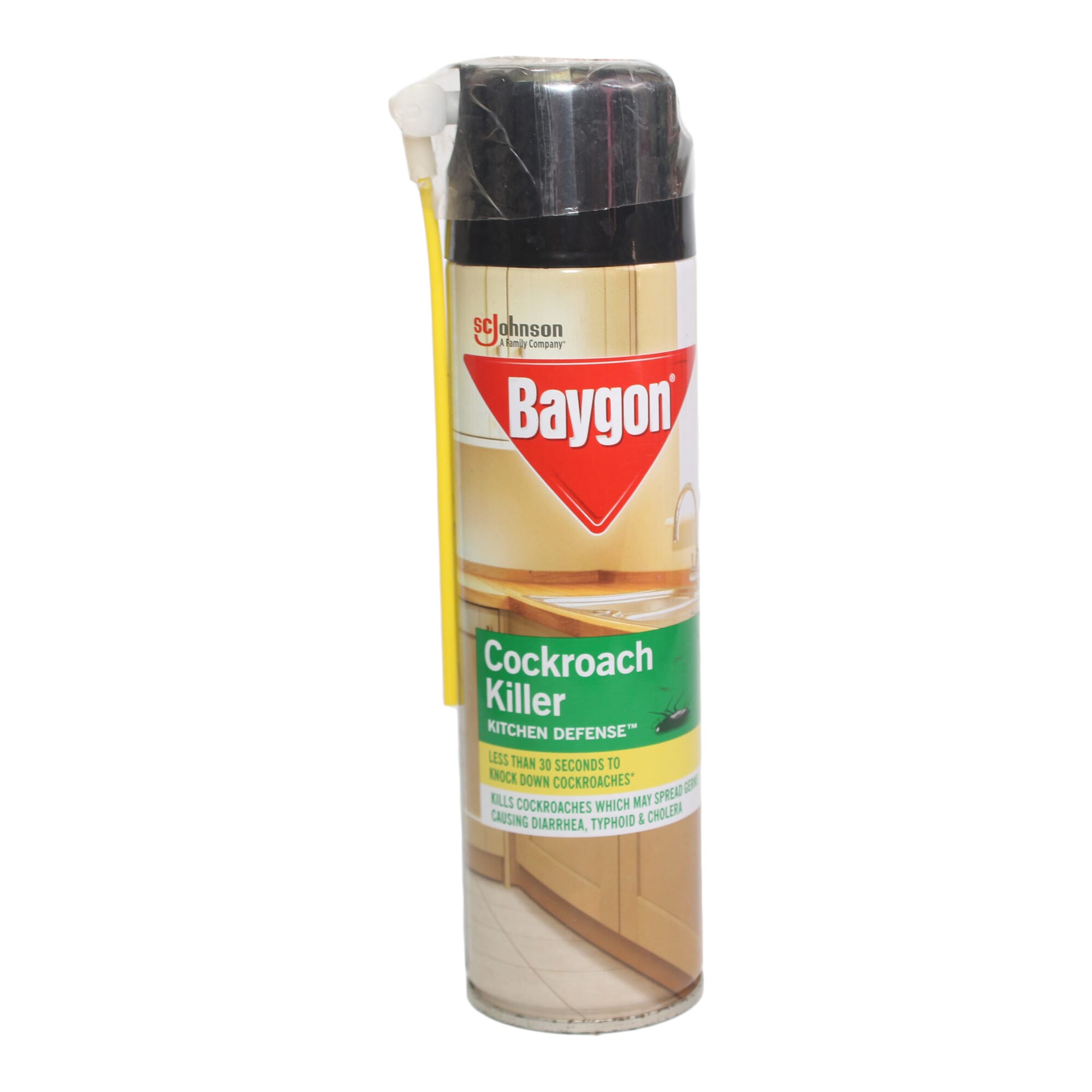 Baygon MAX Mosquito and Fly Killer 200ml | Daraz.com.np