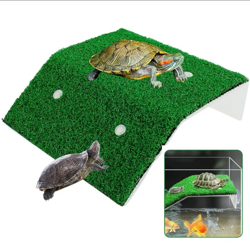Turtle Basking Platform Large Size By HAMROPETS | Daraz.com.np