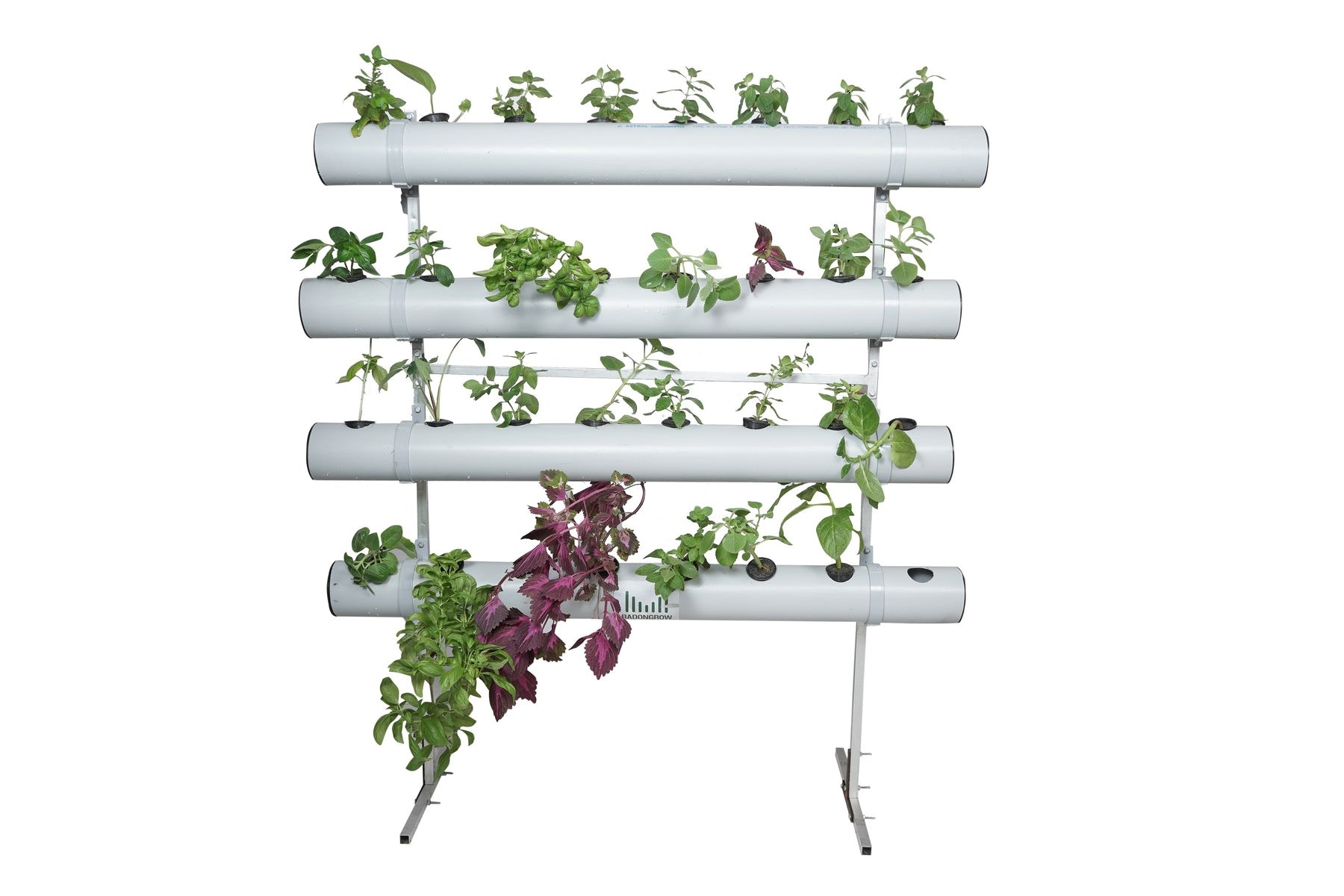 Hydroponic System For 32 Plants -DFT (Deep Flow Technique) | Daraz.com.np