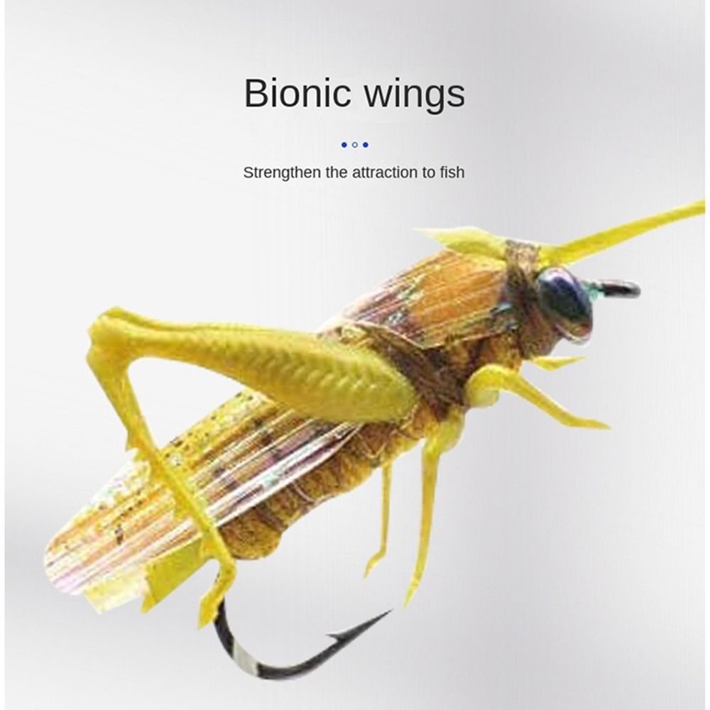 2023 Bass Lure Insect fishing lures squid Fishing Tackle grasshopper ...