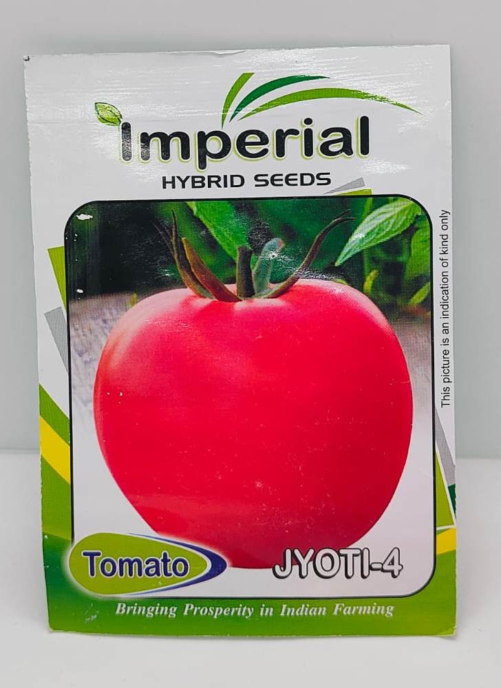 1 Packet Round A Year Vegetable Seeds - All Time All Season Vegetable ...