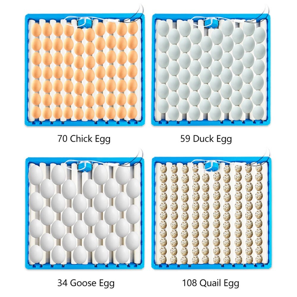 Roller Incubation Egg Tray For Poultry Hatching Machine Automatic ...