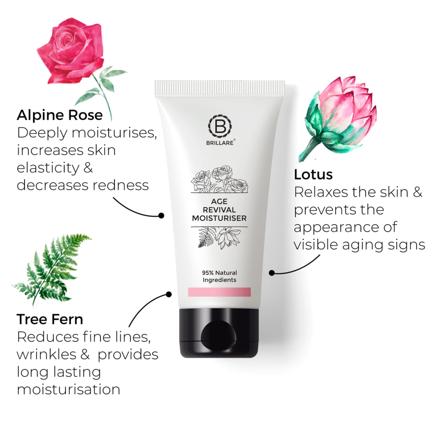 Brillare Age Revival Moisturiser For Ageing Skin - 50 ml | Daraz.com.np