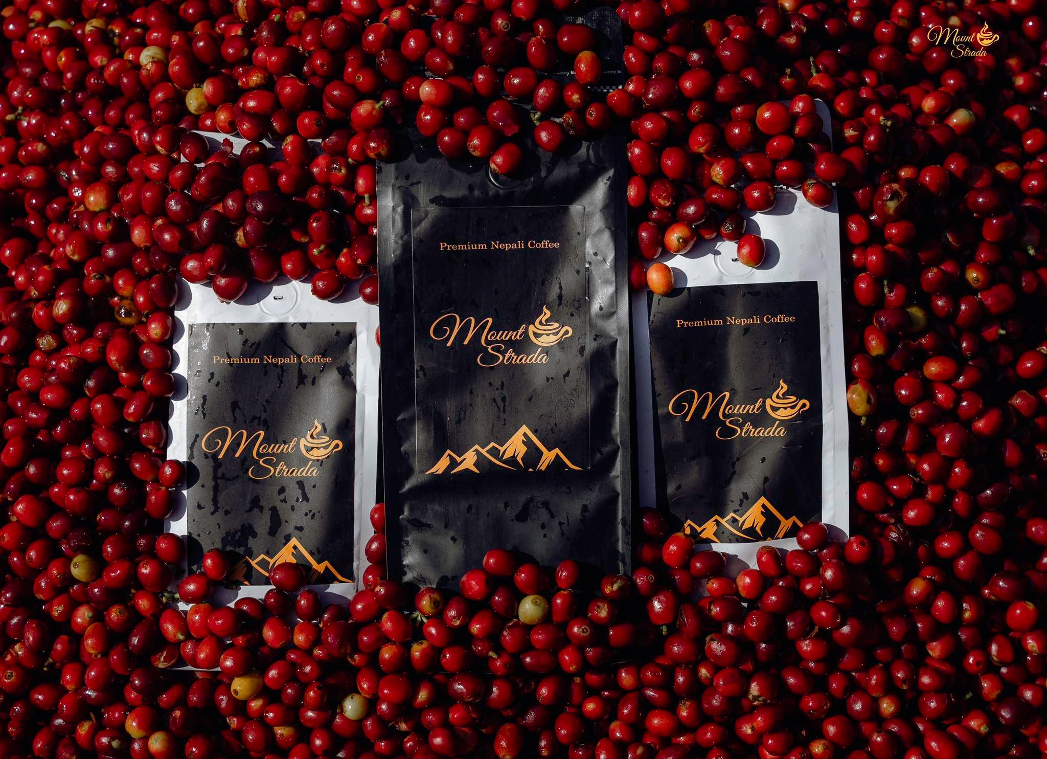 Mount Strada Coffee Arabica Speciality Coffee Beans-500 g | Daraz.com.np