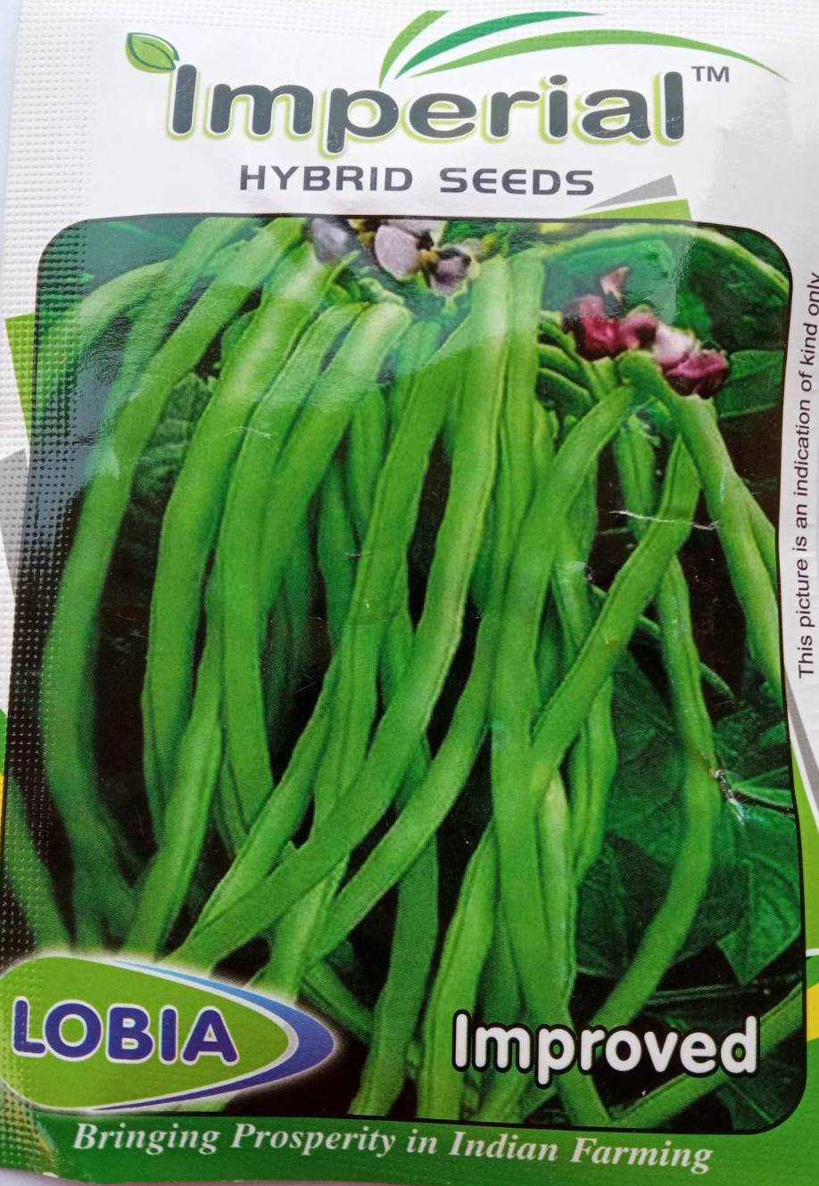 Vegetable Seeds - 1 Packet Cowpea Lobia Seeds 10 Gram - Bodi Seeds ...