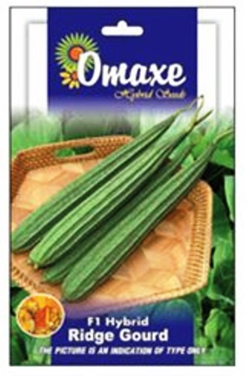 Omaxe Seeds Ridge Gourd F1 Hybrid Dhari Tori - 1 Packet Ridge Gourd By ...