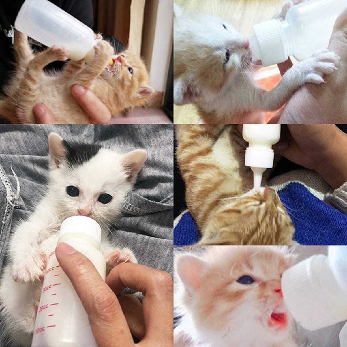 Pet Nursing Bottle Kits for Newborn Kittens, Rabbits, Small Animals ...