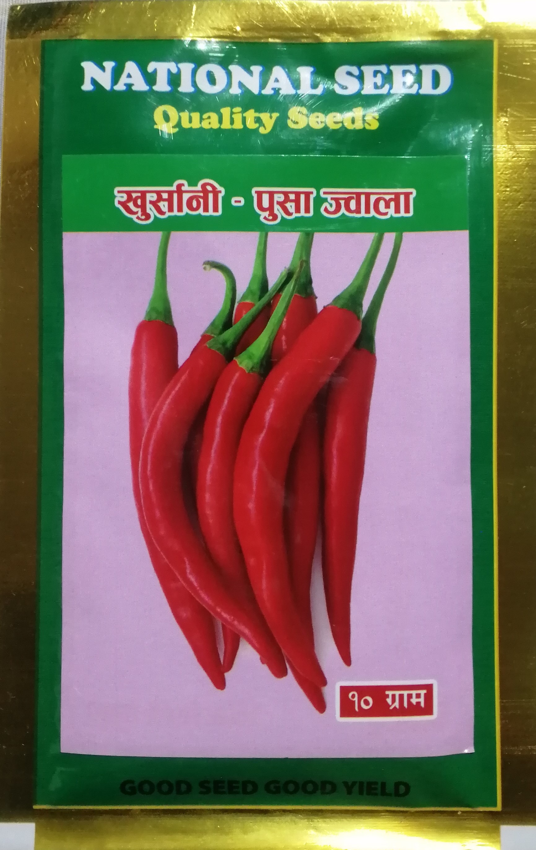 Chilli 10 Grams PUSA-JWALA | Daraz.com.np