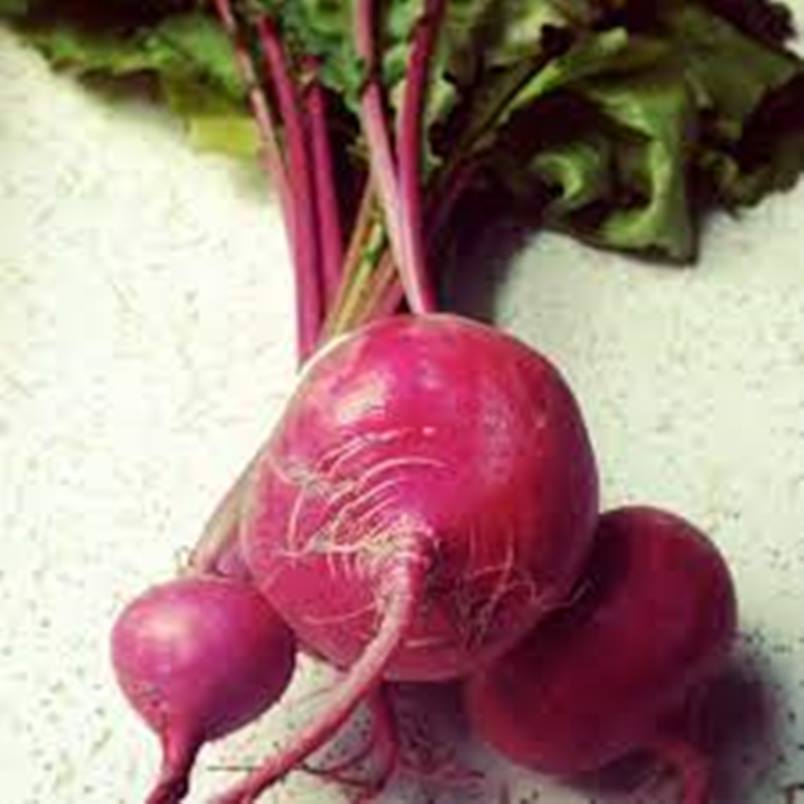 1 Packet Red Turnip Seeds 10 Gram Salagam Seeds | Daraz.com.np