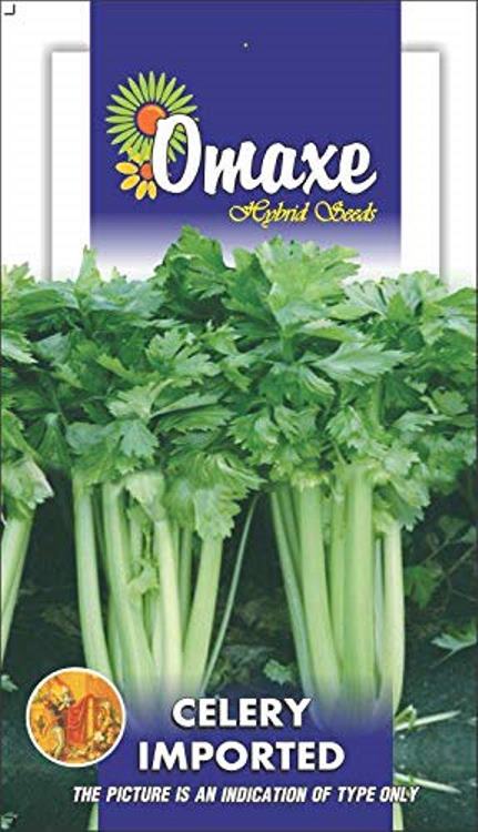 Vegetable Seeds- 1 Packet Celery Seeds - Imported | Daraz.com.np