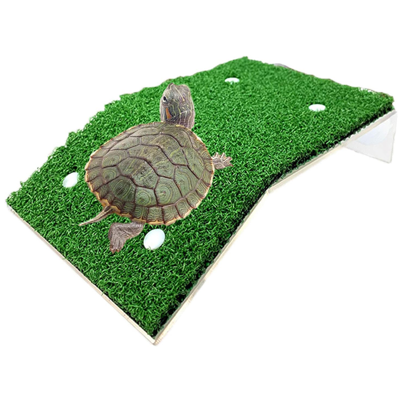 Turtle Basking Platform Large Size By HAMROPETS | Daraz.com.np