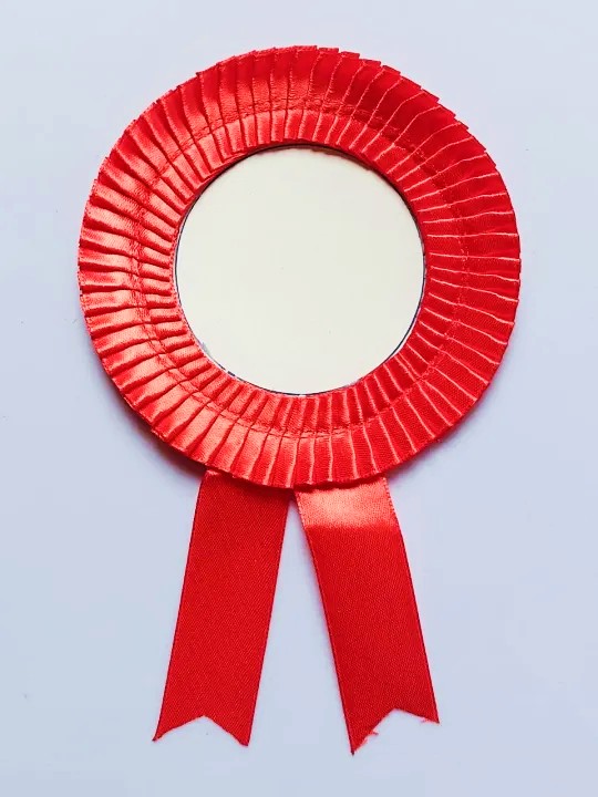 5 Pieces Ribbon Badge (One Layer ) for Guest, Awards, Party ...