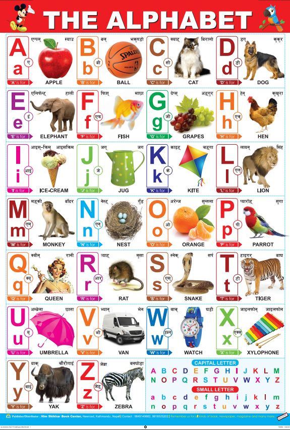Alphabet A,B,C+ka ,Kha | Daraz.com.np