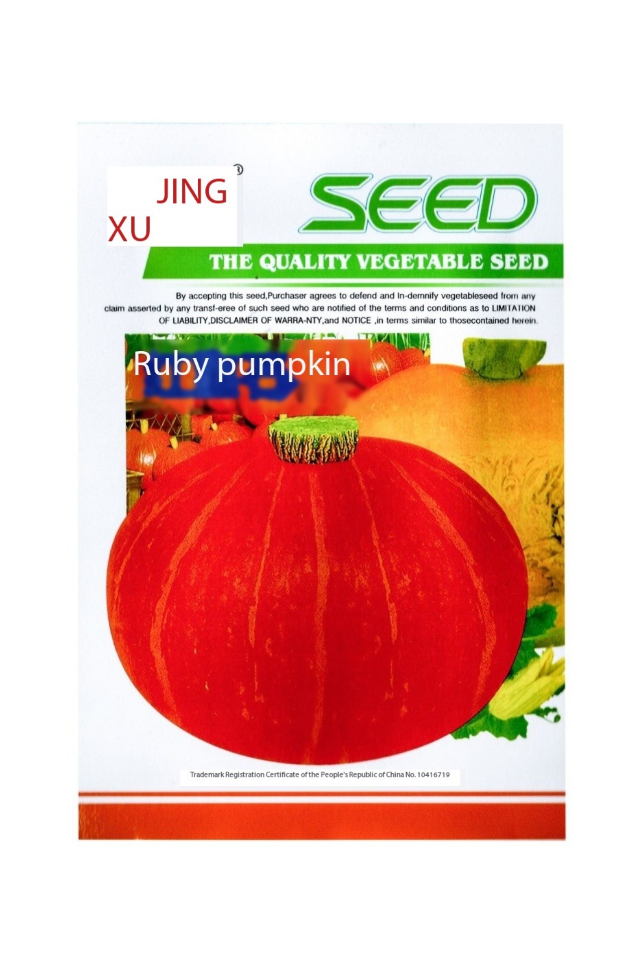 5 Seeds Of Orange Pumpkin - Sweet Kumra Seeds- Sweet Pumpkin Orange Vegetable Seeds Loose Pack ...