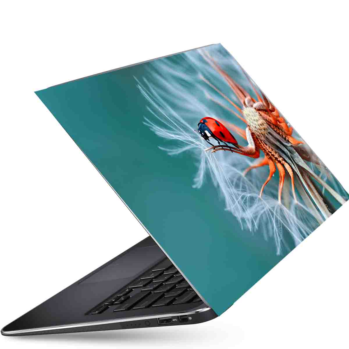 Laptop Sticker Printed By Maggot | Daraz.com.np