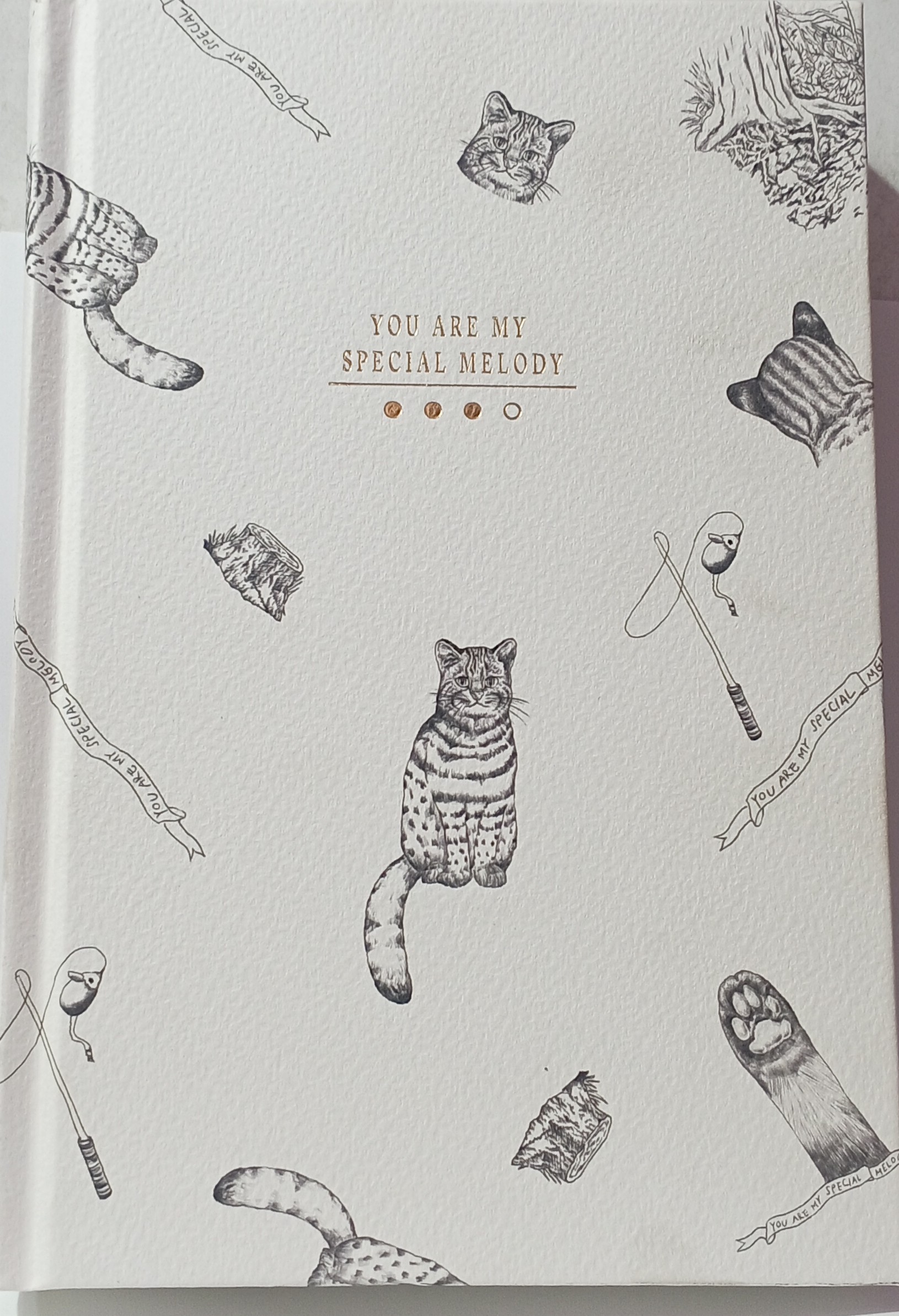 Plain Diary Note Book A5 | Daraz.com.np