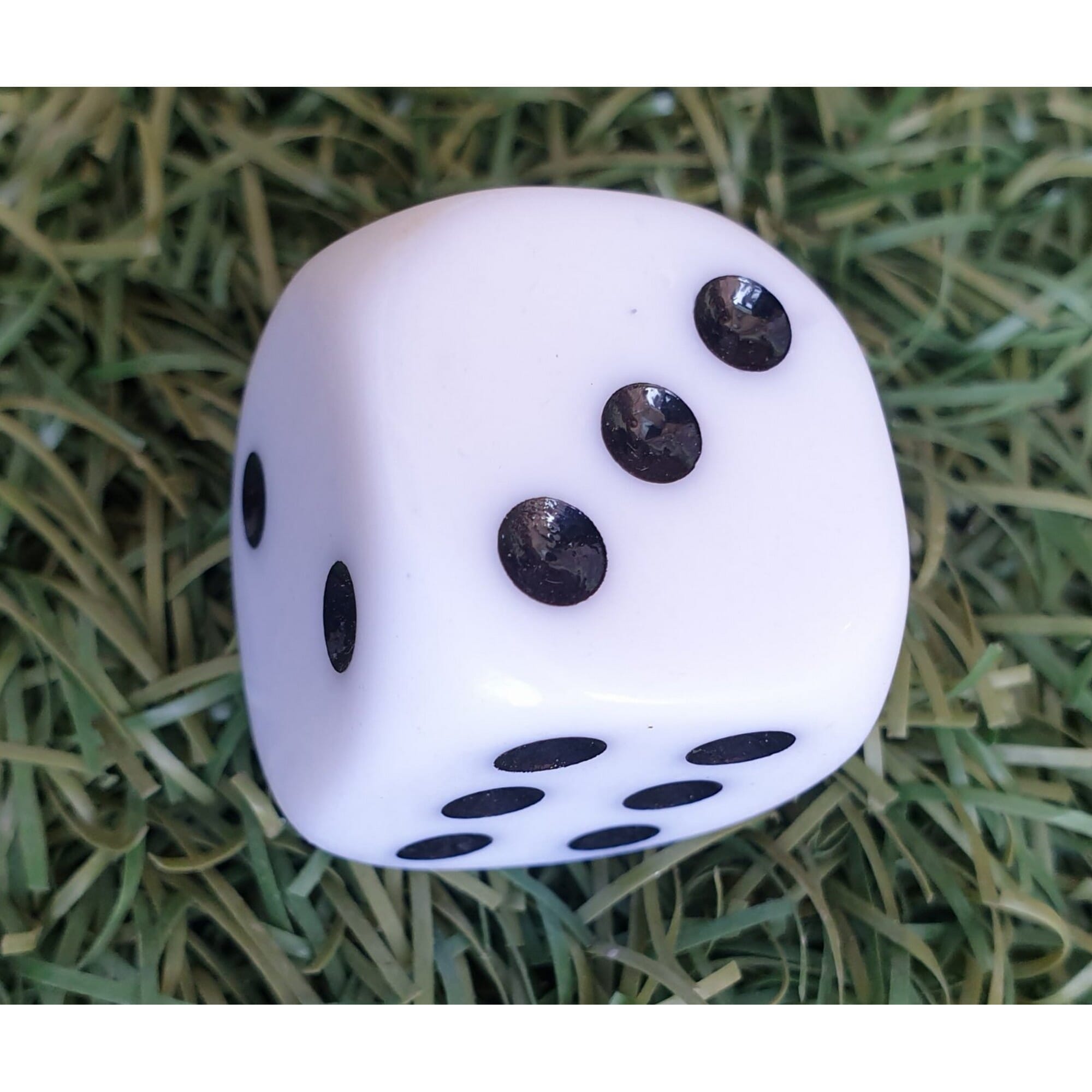 Ludo Dice ( Pot Chhakka ko Goti) Big size White Body With Black Dots By ...
