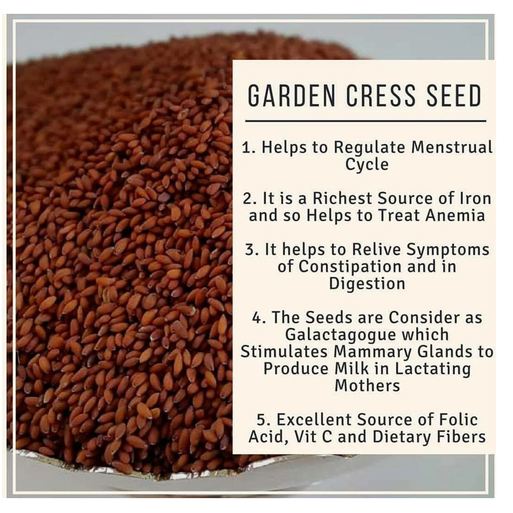 SHOP WHOLLY Garden Cress Seeds/Chamsur Dana - 500gm | Daraz.com.np