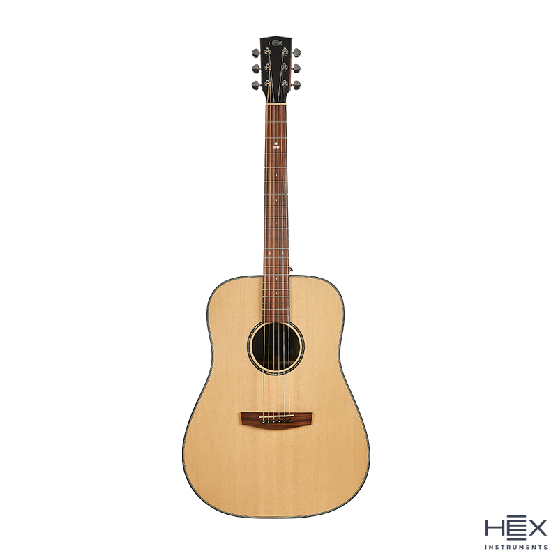 Hex Instruments Sting D350 G Cutaway Acoustic Guitar With Standard Gig ...