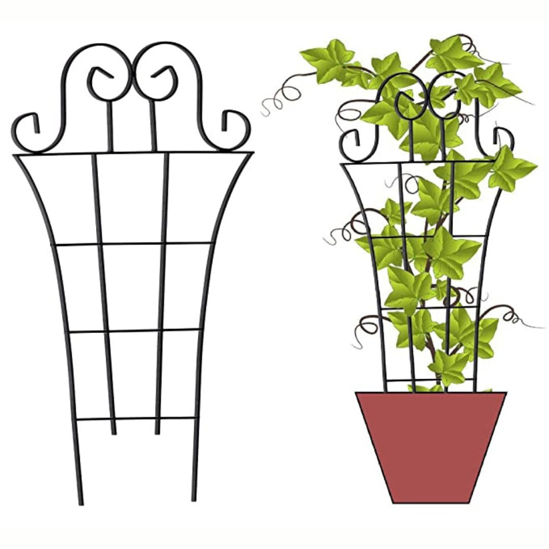 Salcko Metal Trellis Plant Supporter For Plants, Creepers, Vines - Rust ...