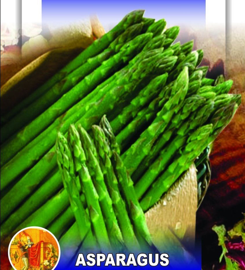 Vegetables Seeds- (बारमासे कुरिलो जहिले रोप्न मिल्ने बिउ ) All Time All ...