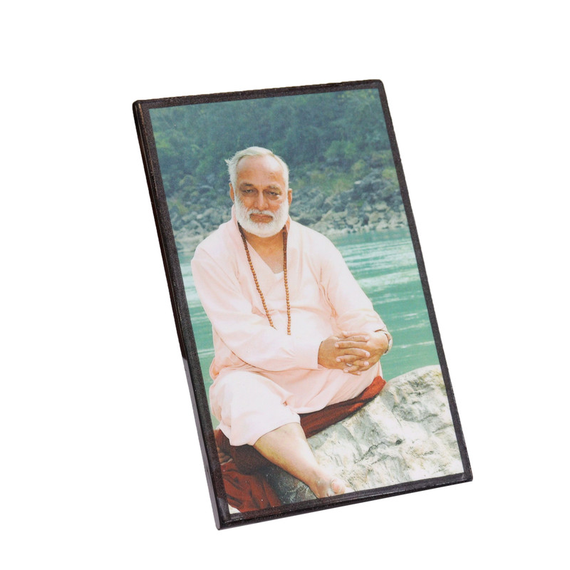 Swami Anand Arun Picture - 45cmx 30cm | Daraz.com.np